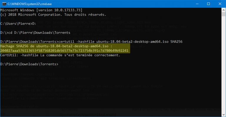 Vérifier l’intégrité d’un fichier (MD5, SHA1, SHA256…) sur Windows – Le ...