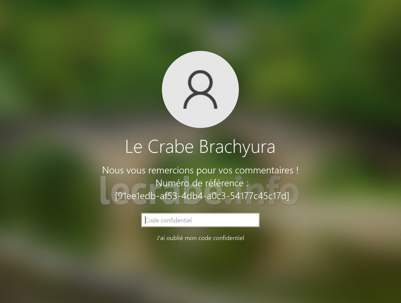 Windows 10 2004 (20H1) : toutes les nouveautés ! – Le Crabe Info