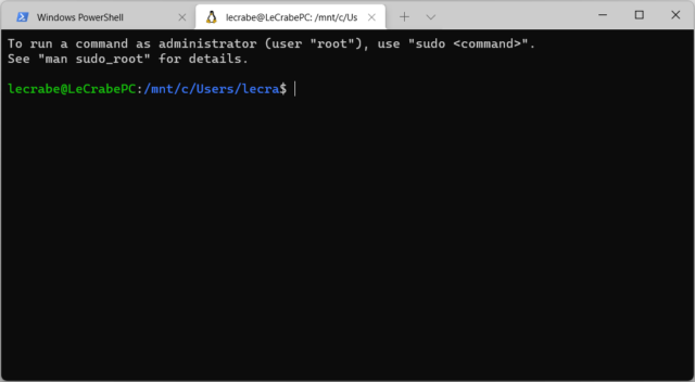 Windows 11 : installer WSL (Windows Subsystem for Linux) – Le Crabe Info