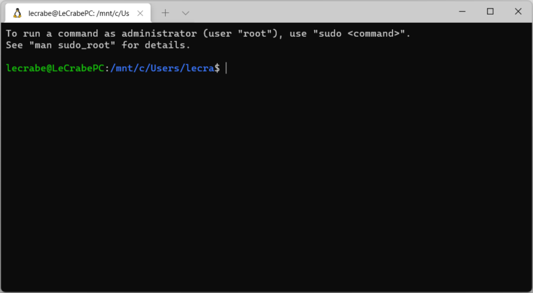 Windows 11 : installer WSL (Windows Subsystem for Linux) – Le Crabe Info
