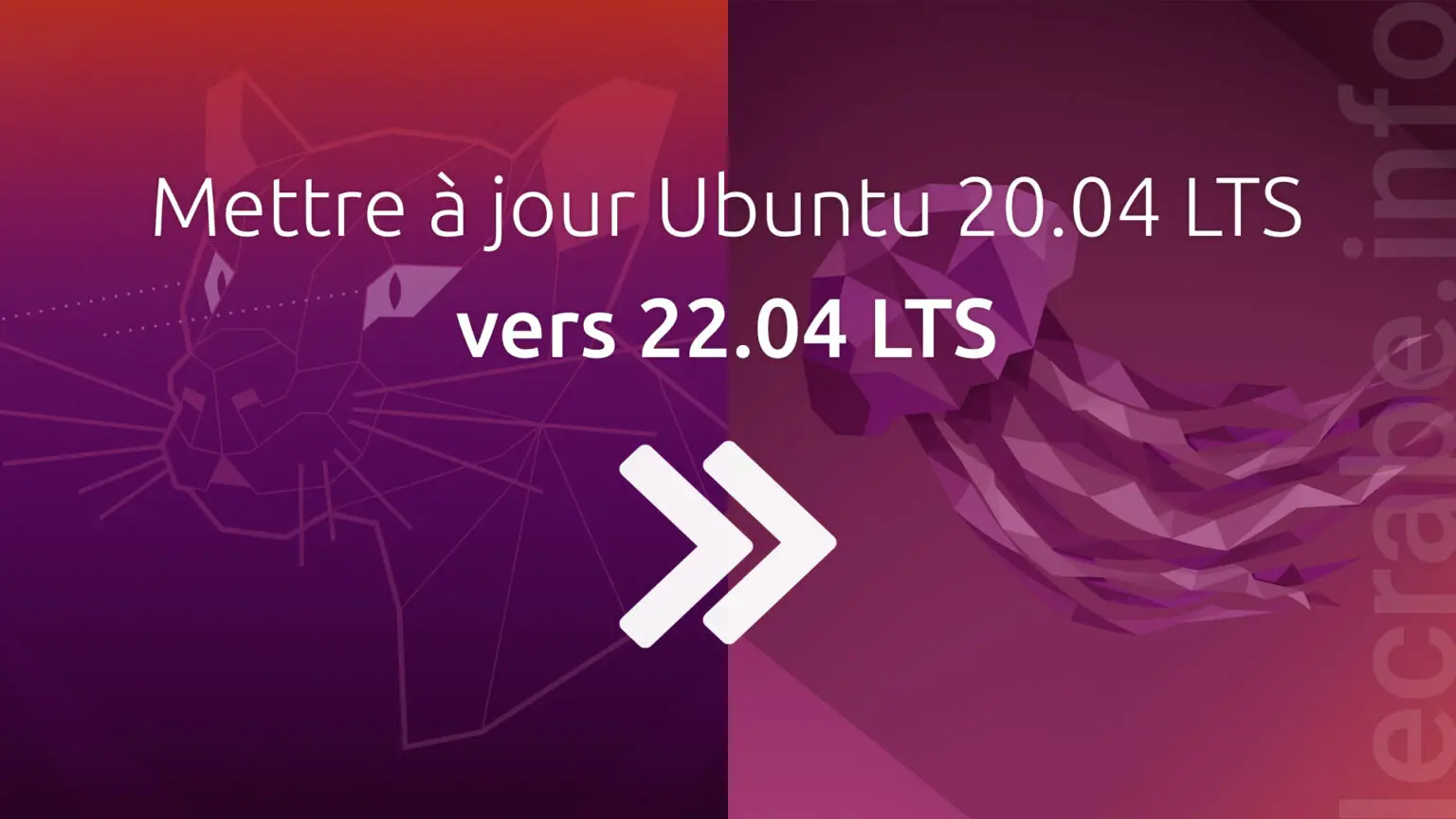Télécharger les ISO d’Ubuntu 20.04 LTS et ses variantes – Le Crabe Info