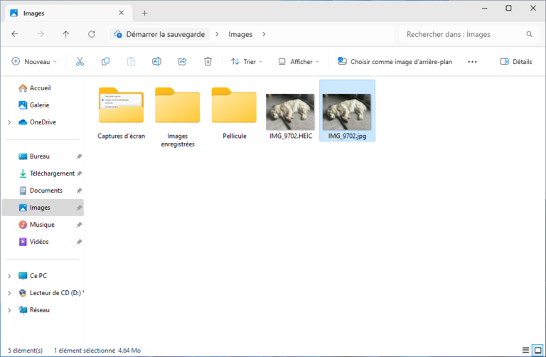 Comment ouvrir un fichier HEIC sur Windows ? – Le Crabe Info