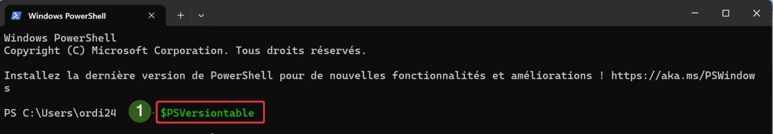 Windows 11 : connaître la version de PowerShell et installer la ...