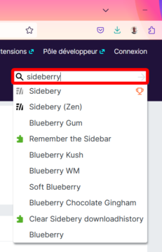 Comment rechercher et installer une extension sur Firefox ? – Le Crabe Info